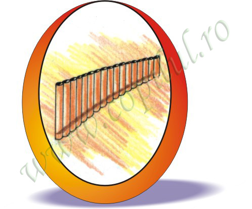 nai-flute-de-panpipe-pan-panflote - Dictionar | Copilul.ro