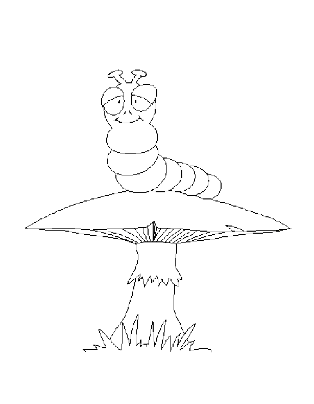 Omida pe ciuperca | Animale | Educatie | Copilul.ro