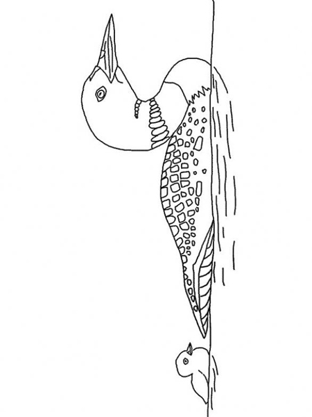 Rata cu pui | Animale | Educatie | Copilul.ro