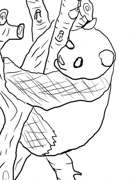 Urs panda | Animale | Educatie | Copilul.ro