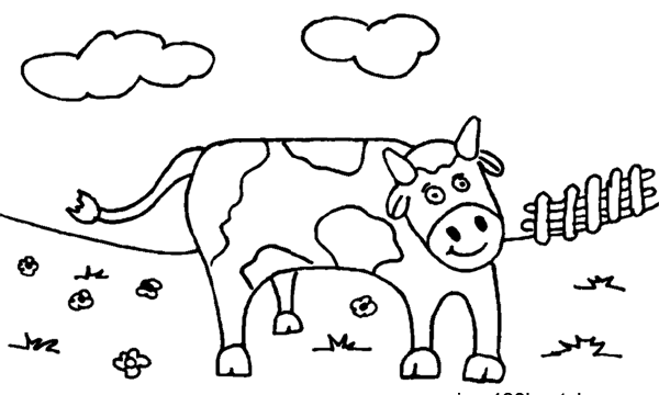 Vaca | Animale | Educatie | Copilul.ro