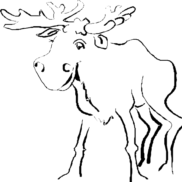 Elan | Animale | Educatie | Copilul.ro