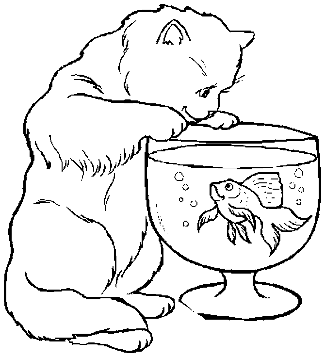 O pisica si un pestisor | Animale | Educatie | Copilul.ro
