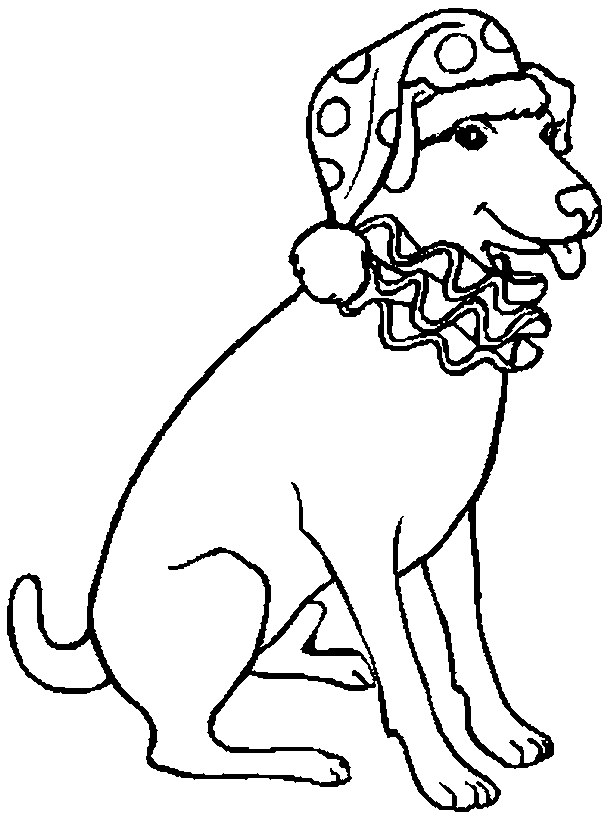 Un catel cu bonetica | Animale | Educatie | Copilul.ro