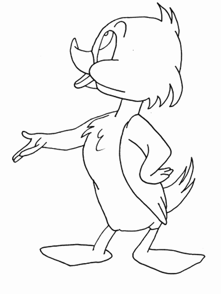 Ratusca (2) | Animale | Educatie | Copilul.ro