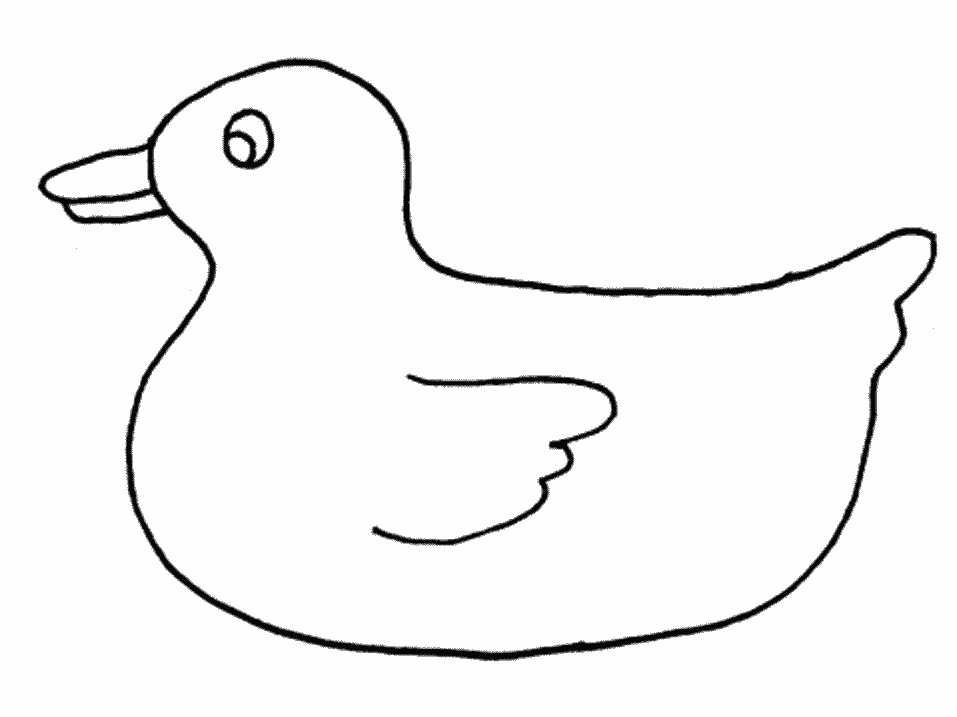 Rata | Animale | Educatie | Copilul.ro