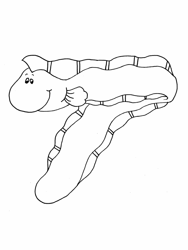 Omida (2) | Animale | Educatie | Copilul.ro