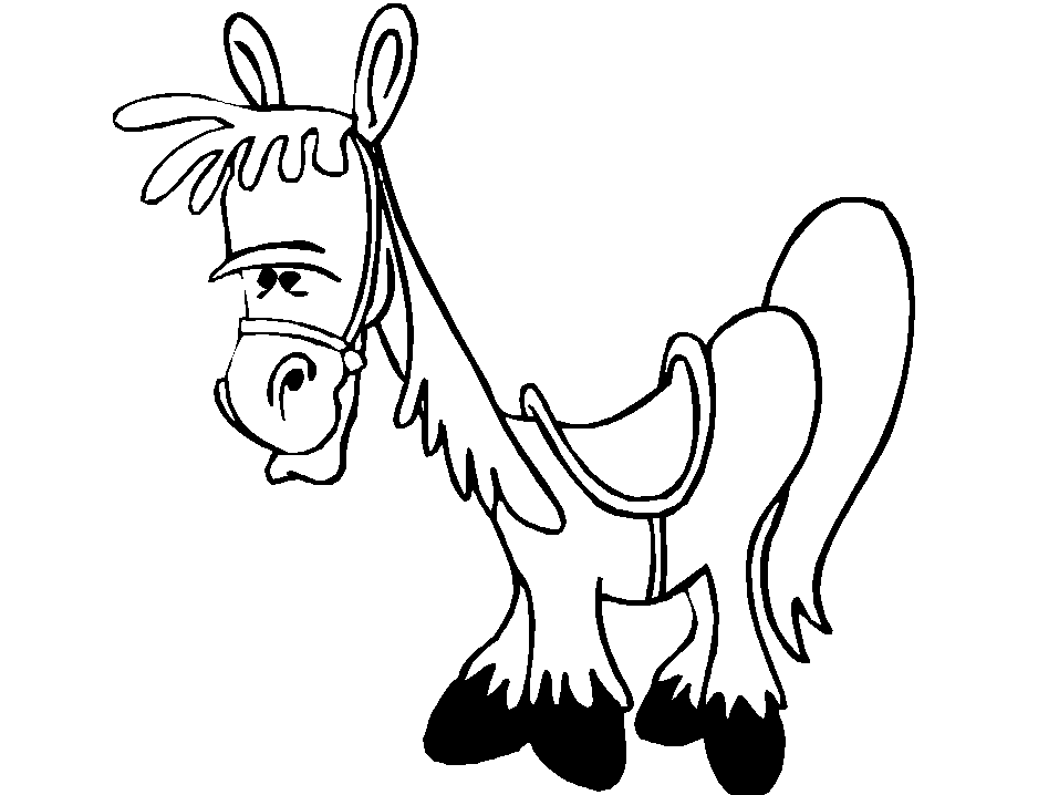 Magarus | Animale | Educatie | Copilul.ro