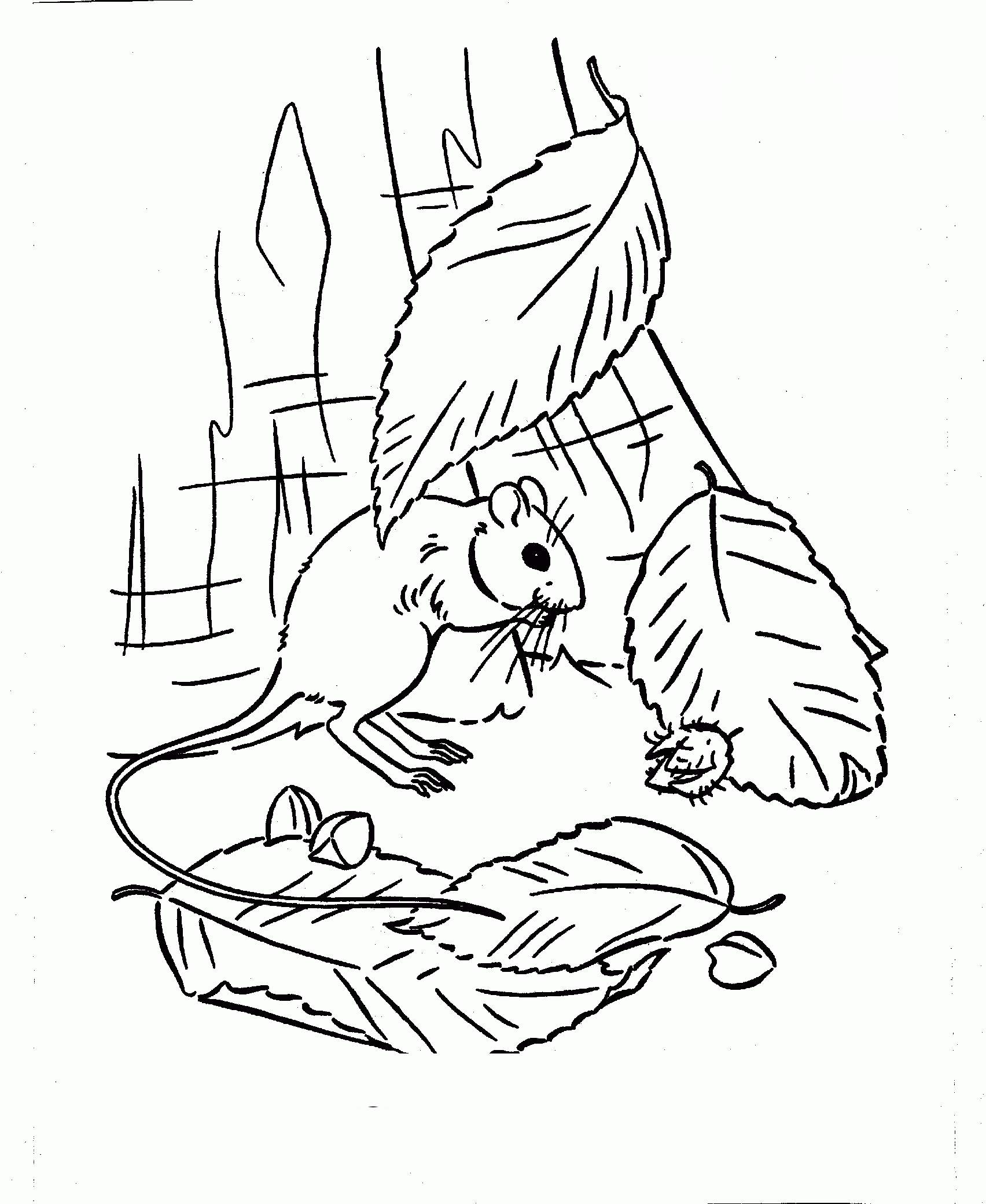 Soricel intre frunze | Animale | Educatie | Copilul.ro