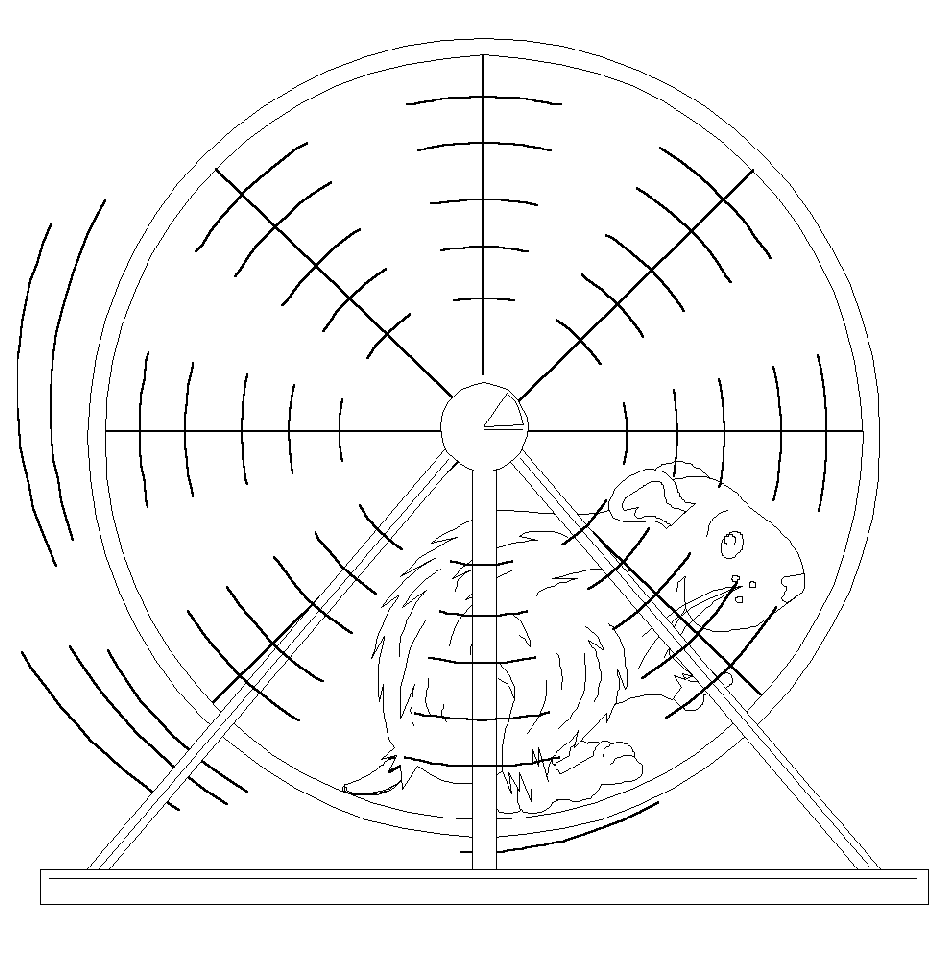 Cocostarc | Educatie | Copilul.ro