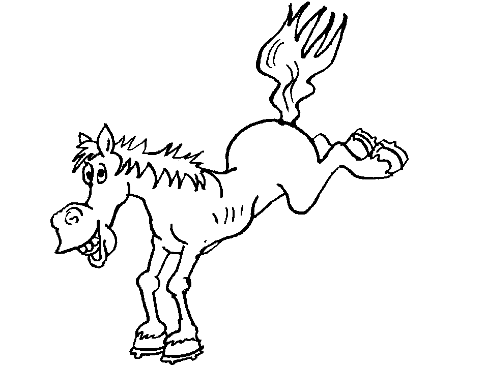 Calut naravas (2) | Animale | Educatie | Copilul.ro