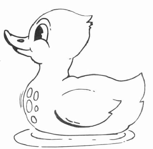 Ratusca pe apa | Animale | Educatie | Copilul.ro