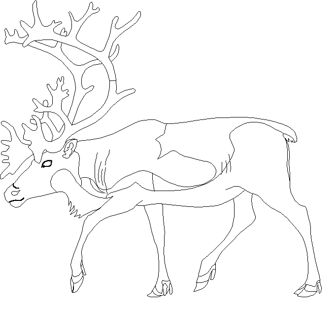 Ren (2) | Animale | Educatie | Copilul.ro