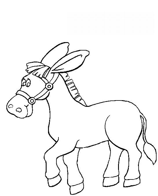 Magarus (2) | Jucarii | Educatie | Copilul.ro