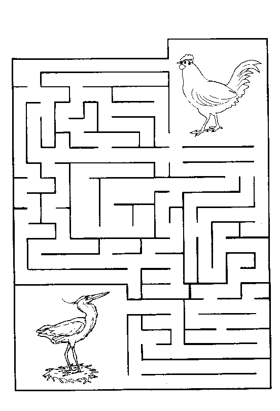 Labirint cu copii | Motivul labirintului | Educatie | Copilul.ro