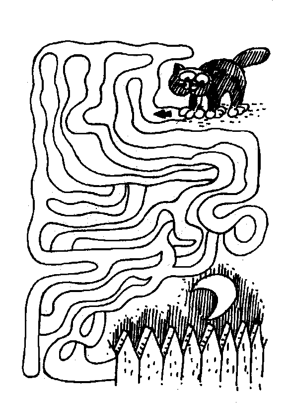 Labirint cu pisica | Motivul labirintului | Educatie | Copilul.ro