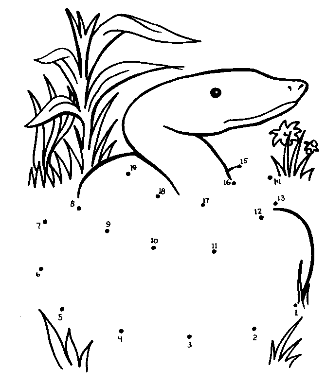 Planse de colorat pentru copii | Educatie | Copilul.ro